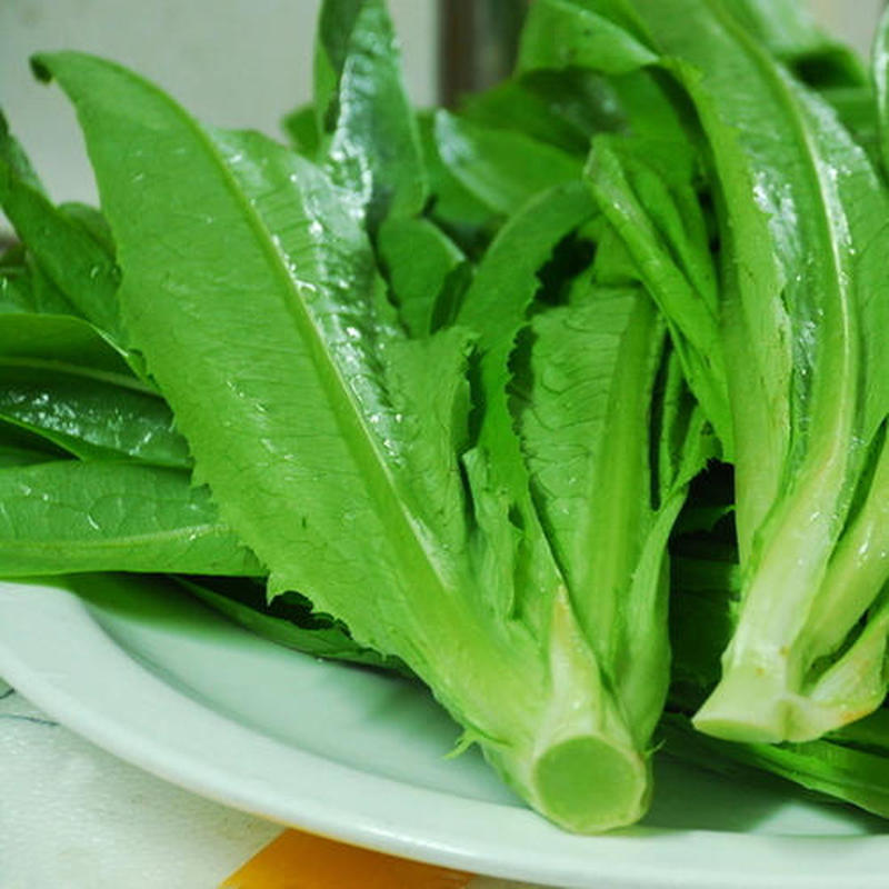 50pcs Litsugas Lettuce Seeds Vegetable Seeds Fresh From Farm Seeds ...