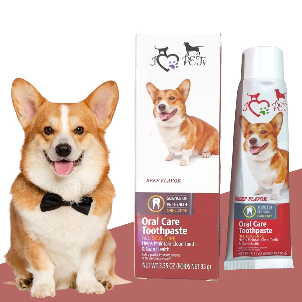 6set I Love Pets Pet Dog Oral Care Toothpaste Beef Flavor 95g | Shopee ...