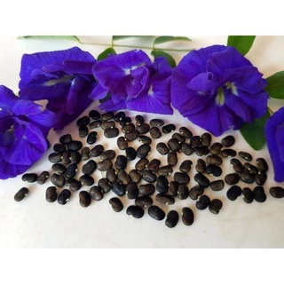 Shop blue ternate for Sale on Shopee Philippines