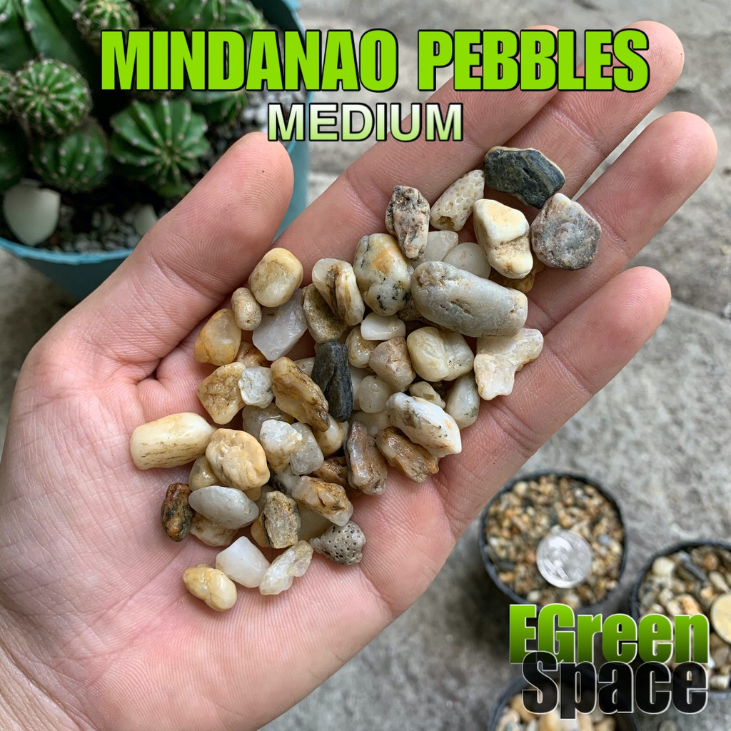 MINDANAO PEBBLES - 1KILO | Stones Rocks Pebbles Toppings | Shopee ...