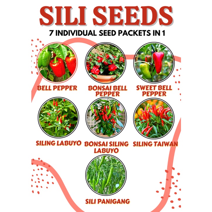 HIGH QUALITY SILI SEEDS (Siling Labuyo/Demonyo/Taiwan, Bell Pepper ...