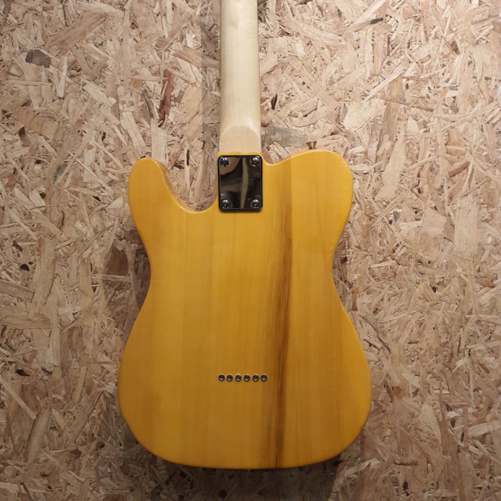 Sqoe Telecaster Thinline Electric Guitar Stratocaster TL Wings Wings ...