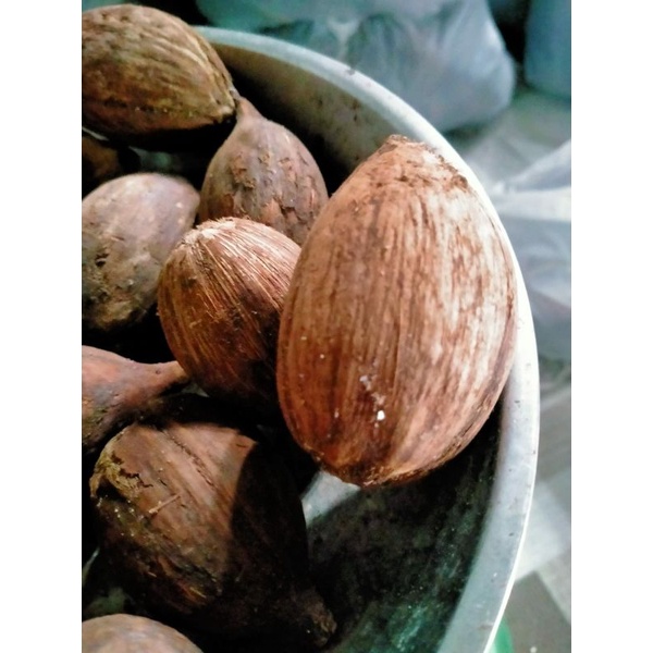 Fruit koukah / kokka / Kakah Original | Shopee Philippines