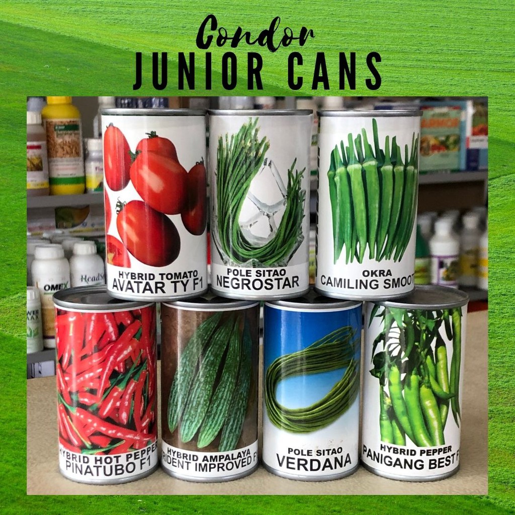 CONDOR Junior Can Okra, Hotpepper, Sitaw and Tomato Seeds | Shopee ...