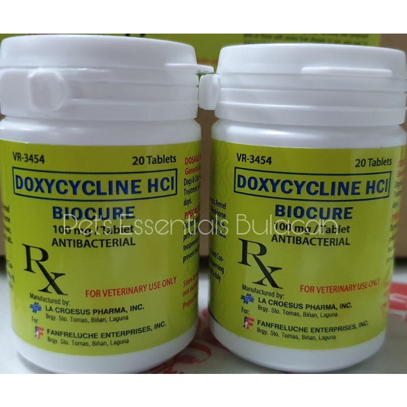 Biocure 20 tablets for dogs and cats | Shopee Philippines