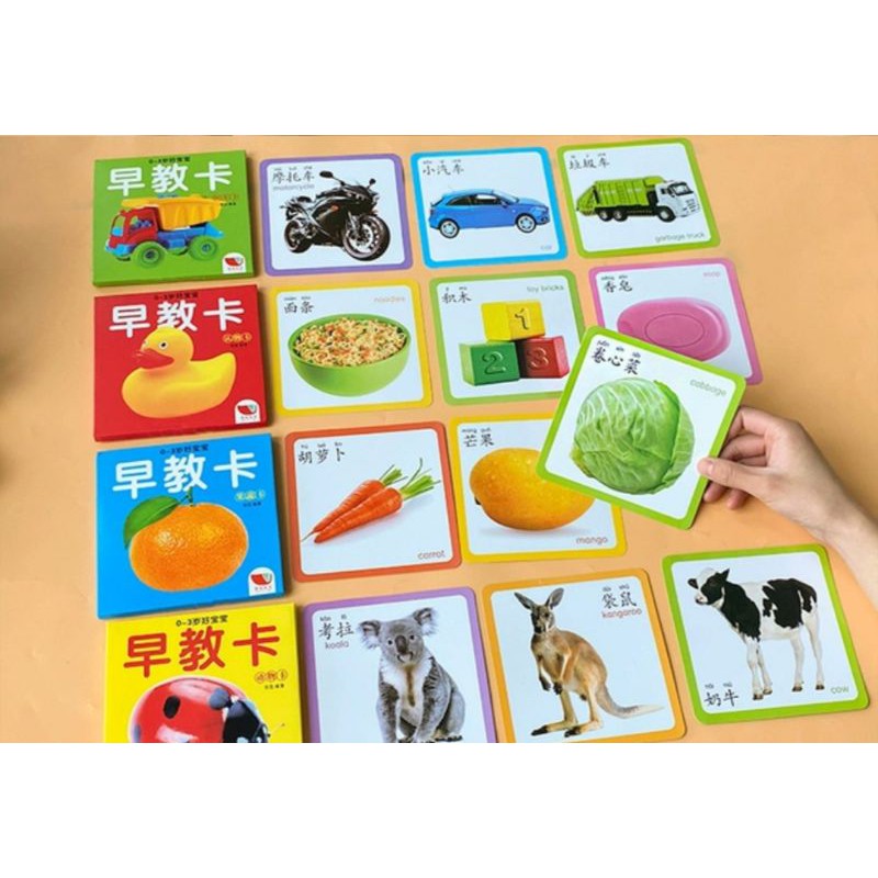 Infant and young Order early education flash card Childhood ...
