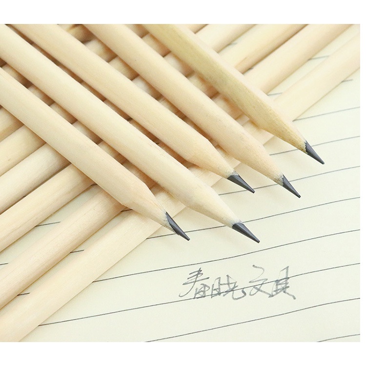 HB pencil primary school students painting and writing hexagonal log ...