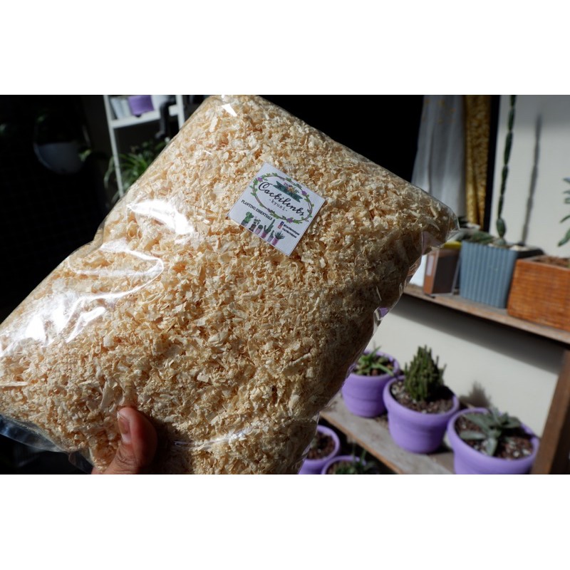 Kusot (palochina) Class A 250 grams per pack | Shopee Philippines