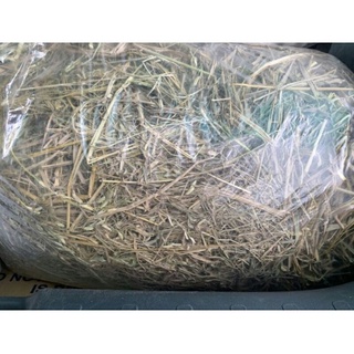 1 sack dayami. rice straw | Shopee Philippines