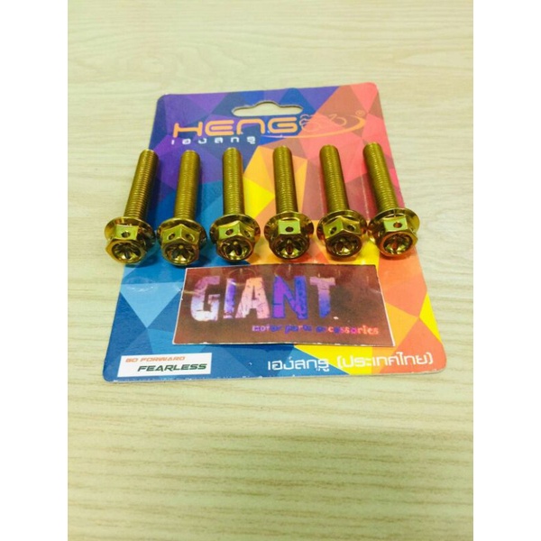 Heng gold tpost bolts for raider 150 carb and fi and Raider J 115 fi ...