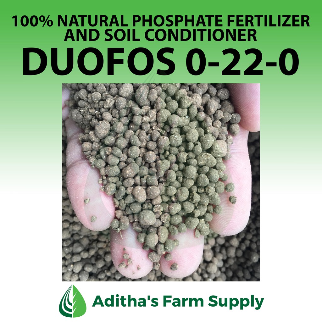 Aditha's Duofos NPK 0-22-0 (100% Natural Phosphate & Soil Conditioner ...