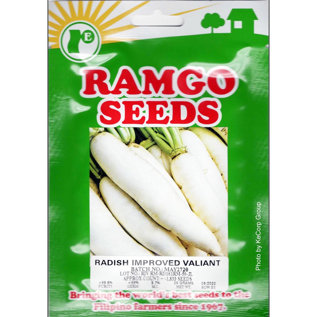 Ramgo Seeds - Pechay Pakchoi Eggplant Ampalaya Patola Upo Sitao Okra ...