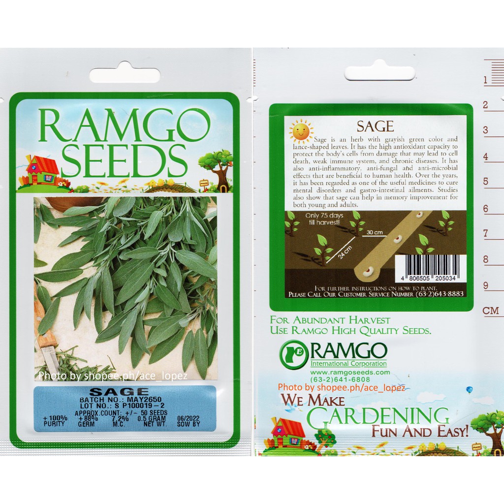 Ramgo Herbs Seeds - Sold per Pack per Variety _ALS2127 | Shopee Philippines