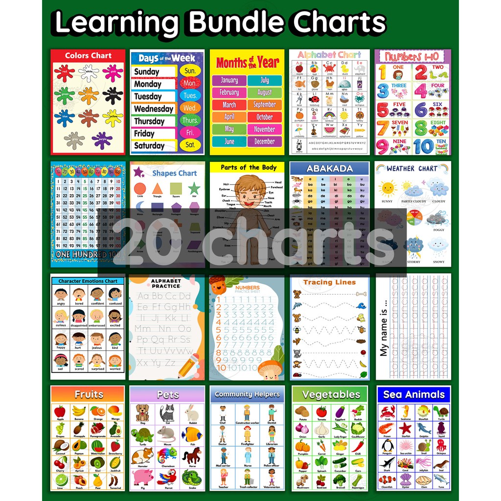 Educational Laminated Charts for Kids Bundle (20pcs) A4 size | Shopee ...