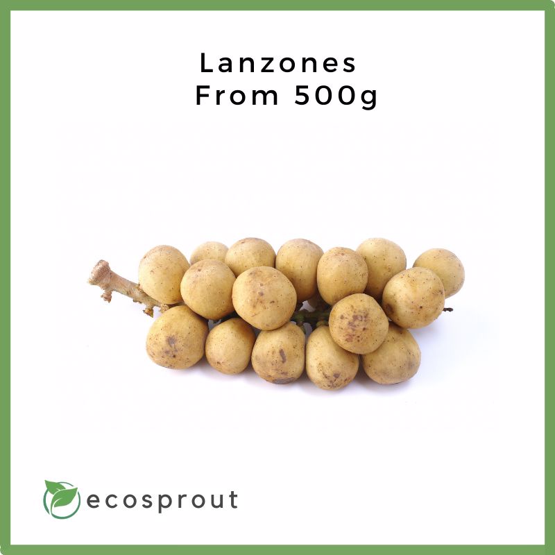 Fresh Lansones Native | Davao Longkong | 500g | 1kg | Fresh Vegetables ...
