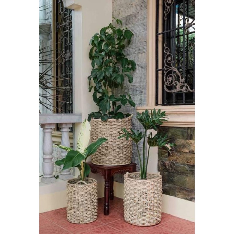 Ilokana Handicrafts Buri Rattan Double Weave A Planter Basket | Shopee ...