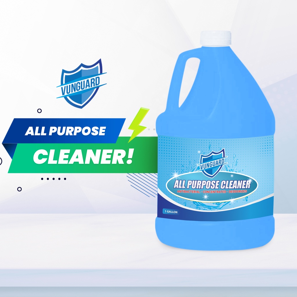 ALL PURPOSE CLEANER 1 GALLON FREE DLC 250ML | Shopee Philippines