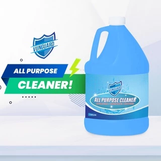 Shop all purpose cleaner for Sale on Shopee Philippines