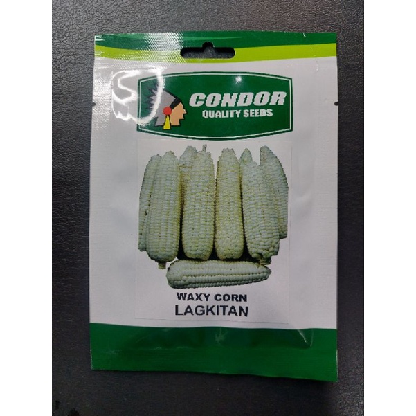 Lagkitan (10 grams) Waxy Corn / Puti Mais by Condor | Shopee Philippines