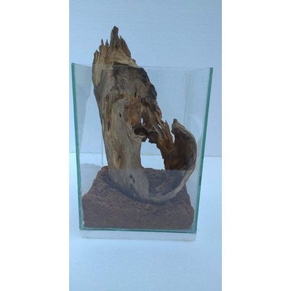 Quality Driftwood for TARANTULA enclosure ( arboreal Hides) | Shopee ...