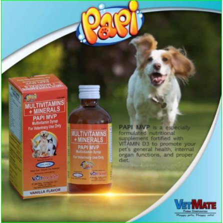 Papi MVP Multivitamins 120ml for Dog and Cats Liquid Meds | Shopee ...
