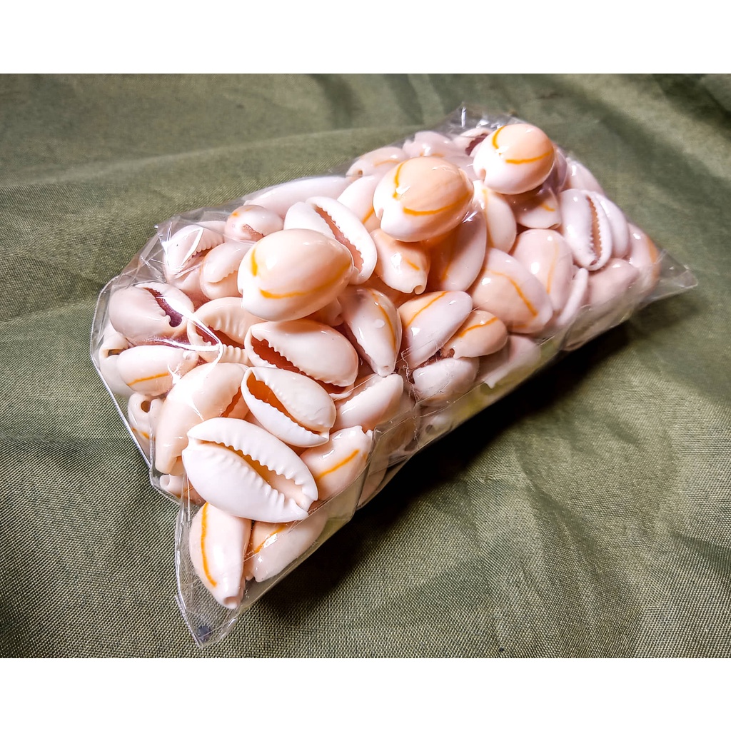 Sungka / Sungkaan With complete sigay shells (100pcs) | Shopee Philippines