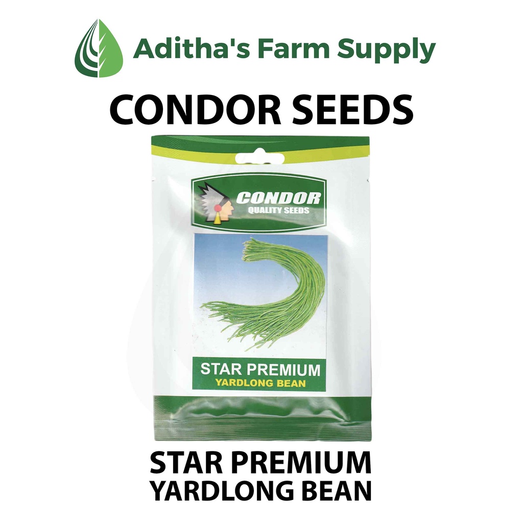 Condor Seeds: Star Premium (Open Pollinated Yardlong Bean) | Shopee ...