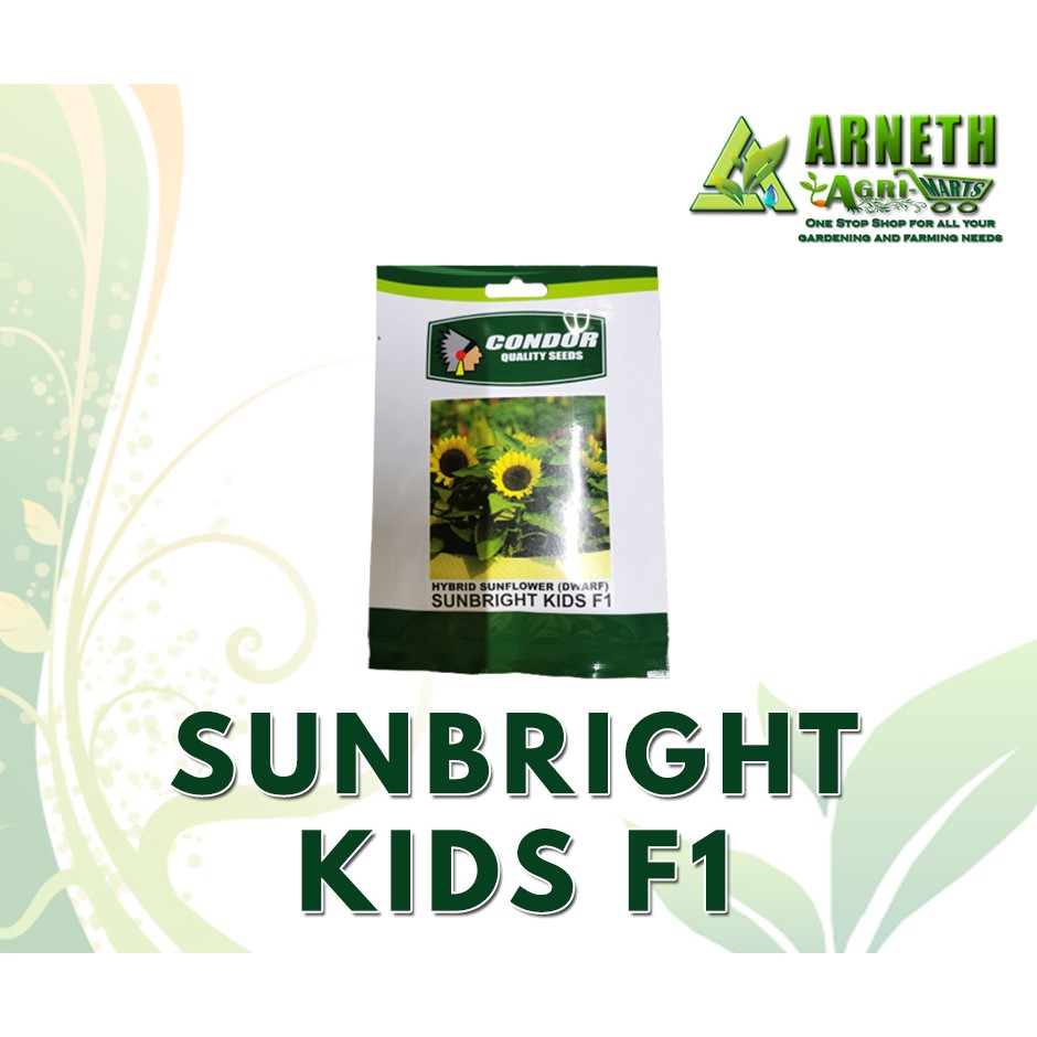 CONDOR SUNBRIGHT KIDS F1 HYBRID SUNFLOWER (DWARF) (500 SEEDS) | Shopee ...