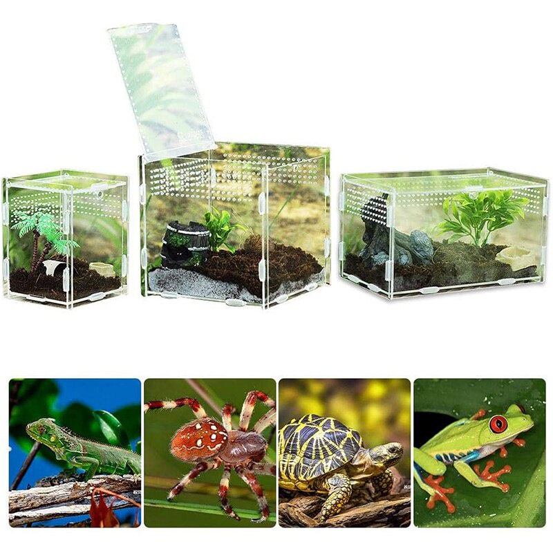 POSSBAY Assembly Insect Breeding Box Reptile Terrarium Transparent ...