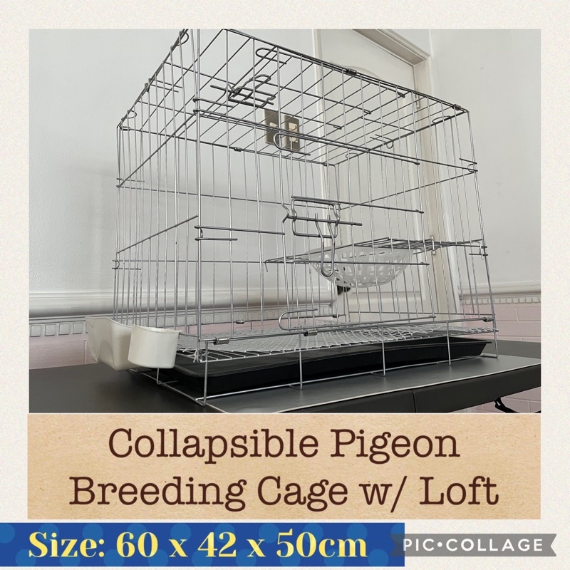 Premium Loft Type Metal Collapsible Breeding Cage for Pet Pigeon Birds ...