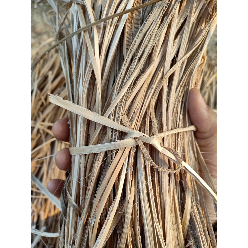 A Small banana rope Bunch Of Bundle Of Things Line Size 3 Mm Length ...