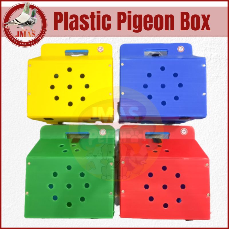Foldable Plastic Pigeon (KALAPATI) Box "Double" 2-4 Birds | Shopee ...