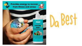 ELECTRO BIRD - Electrolytes + Dextrose, Fast Acting Energy Supplement ...