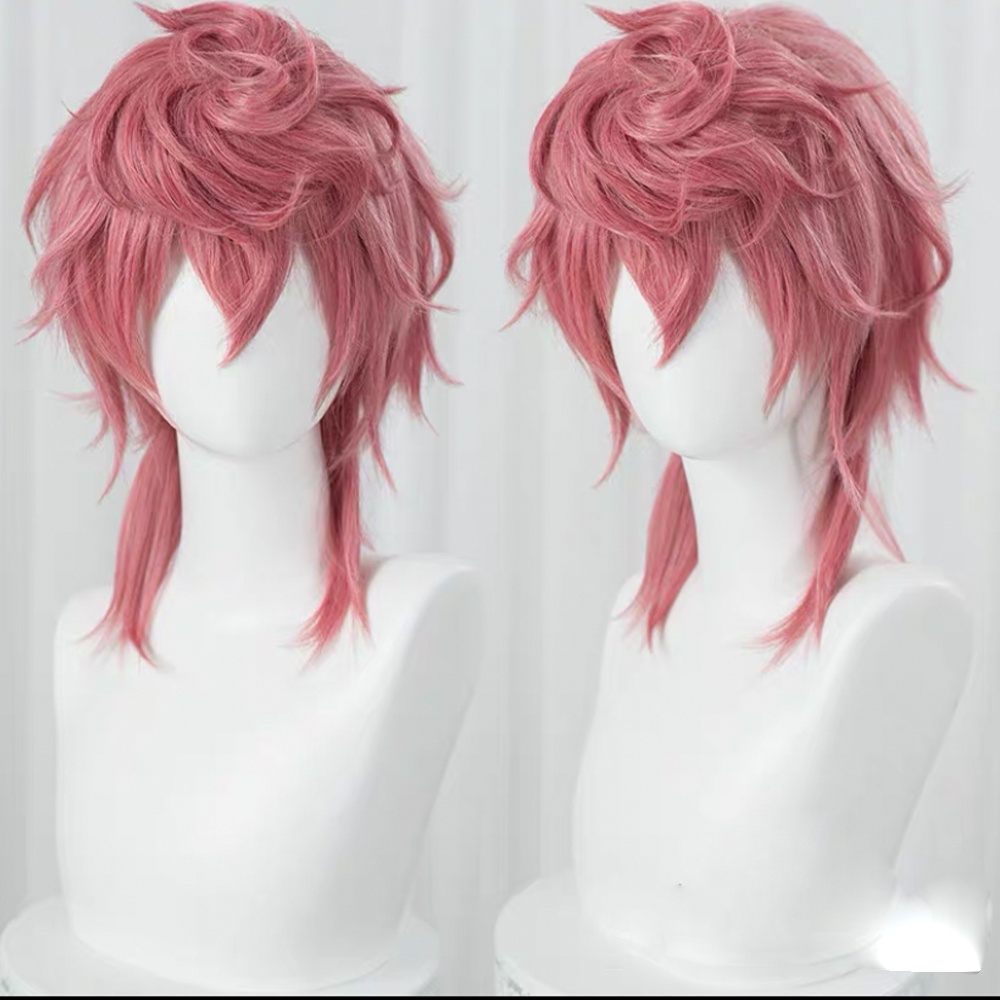 Noriaki Kakyoin Trish Una Dio Brando Joseph Kujo Jotaro Wig Jojo ...