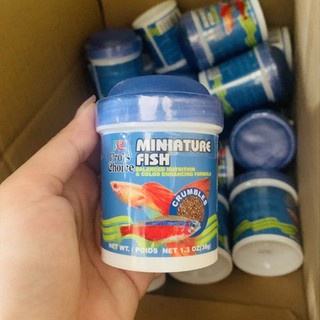 Food for Neon FISH, Red Head Squirrel, Seven Colors MINIATURE FISH can ...