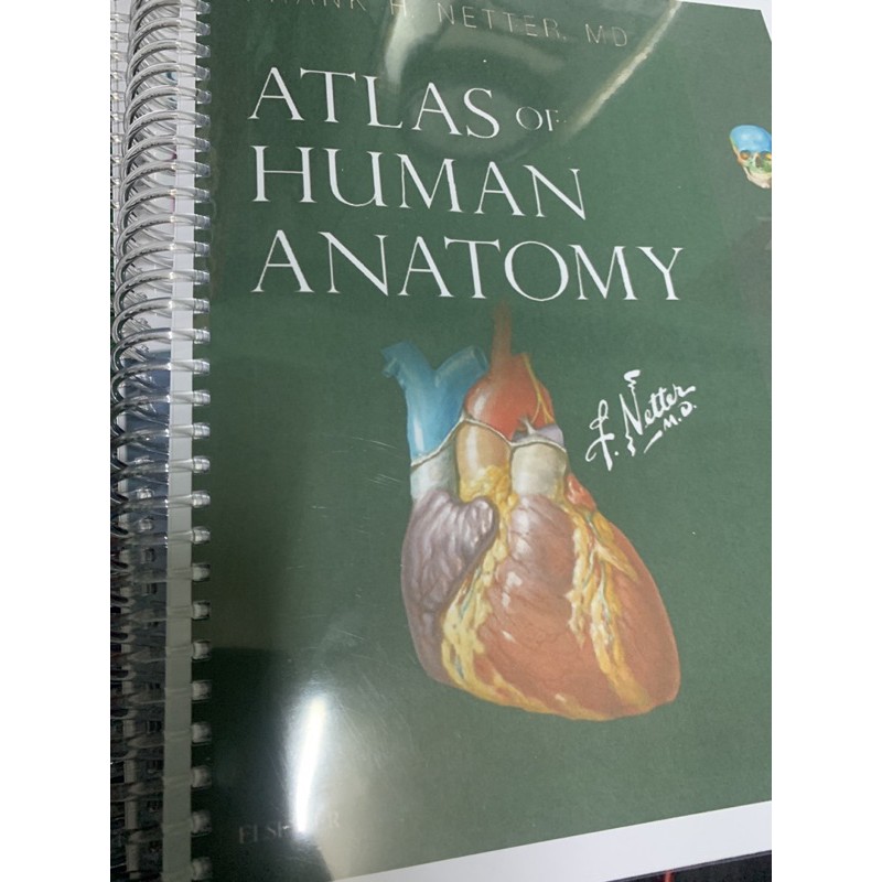 ATLAS OF HUMAN ANATOMY BY NETTER 7th edition | Shopee Philippines