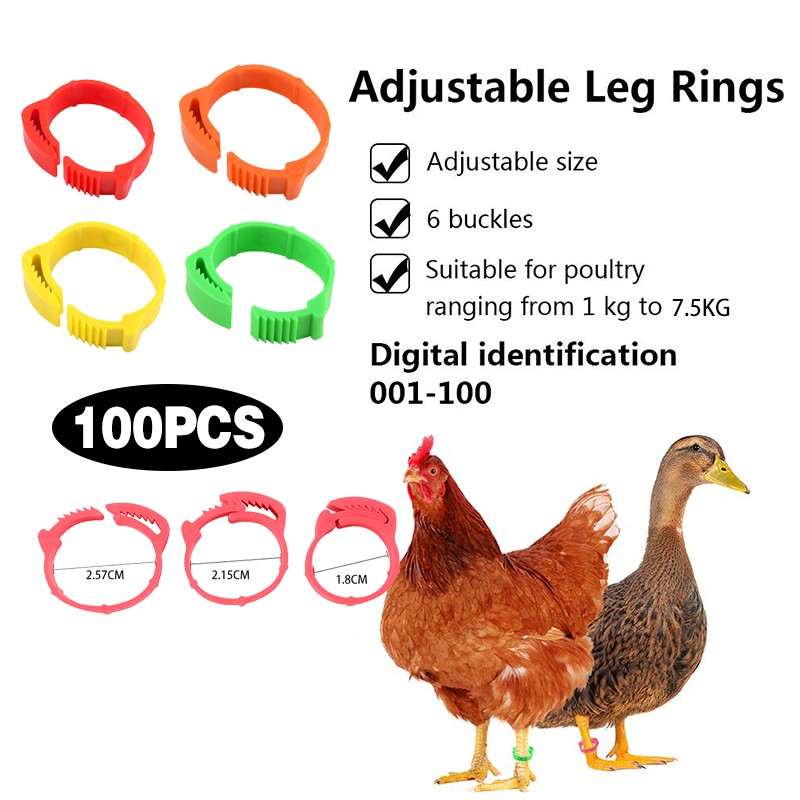 001-100 100pcs/set Poultry Leg Bands Rings Chickens Ducks Goose Clip-On ...