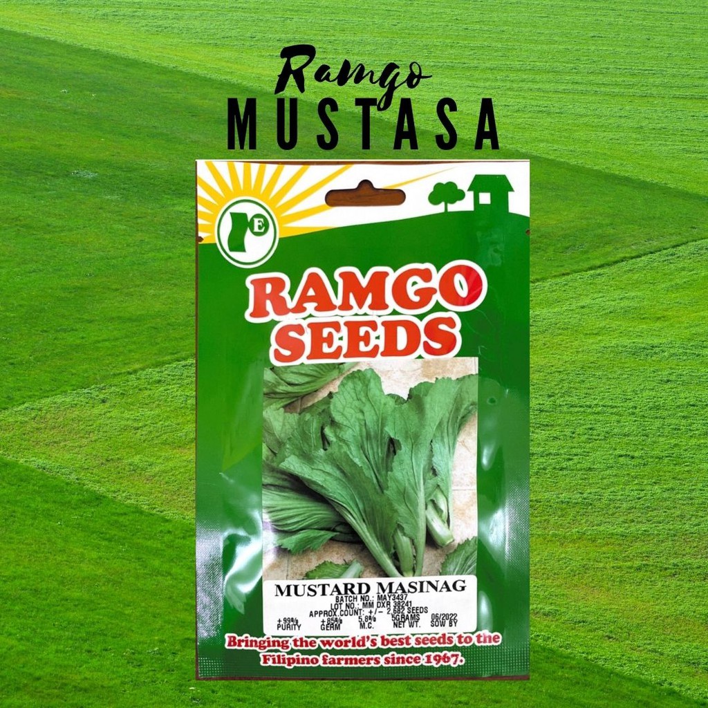 Ramgo LEAFY VEGETABLES (Lettuce, Pakchoi, Spinach, Pechay, Mustasa ...