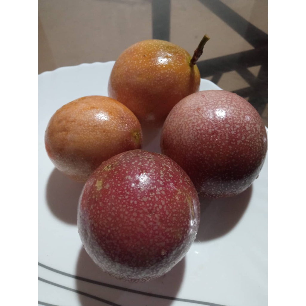 Purple Passion Fruit ( 20 Seeds ) | Shopee Philippines