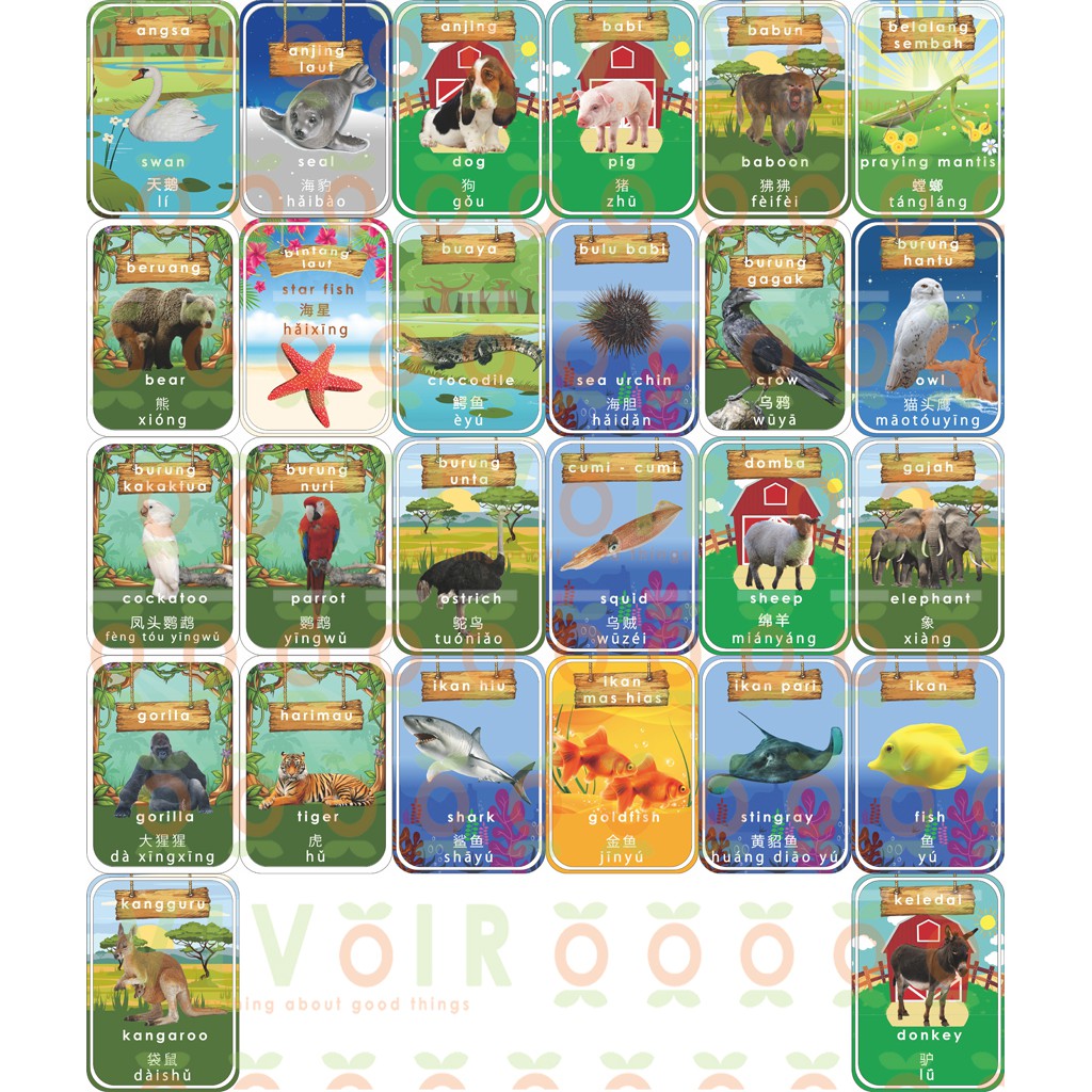 Animal Real Image Flash Cards/Animal Learning Cards Original Picture ...