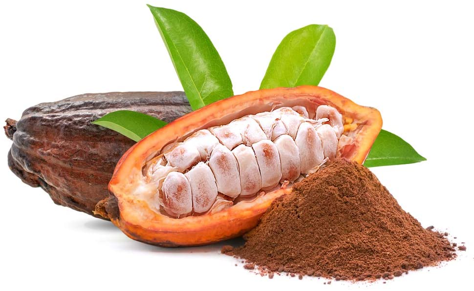 1pcs Cacao Tree Seeds for Planting - Rare, Exotic Cocoa Tree, Chocolate ...