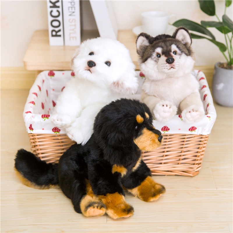 Cute Plush Toy Dog Doll Simulation Ragdoll Puppy Small Size Children ...