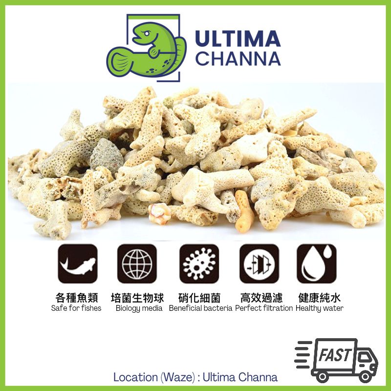 Coral Stone/ Batu Karang 100g aquarium gravel/ filter media stabilize ...