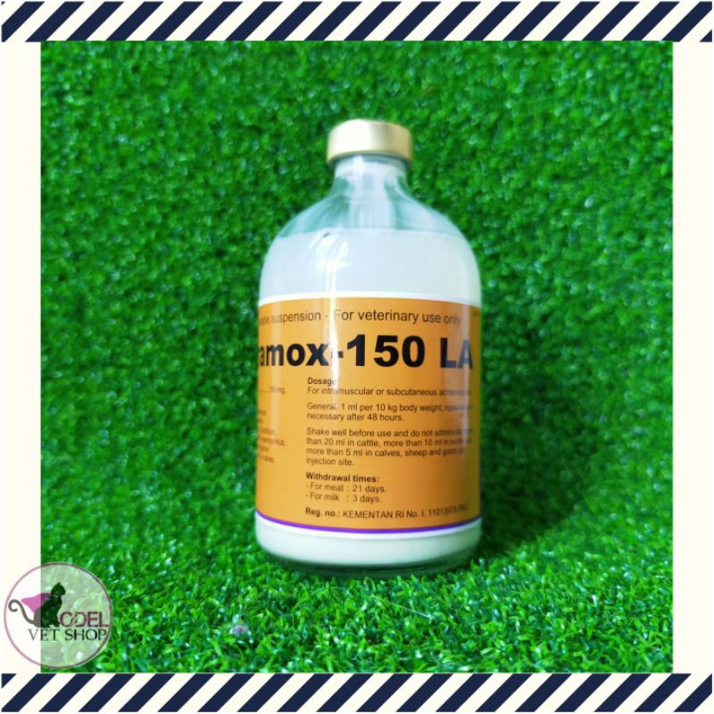 Long ACTING INTRAMOX LA | Shopee Philippines