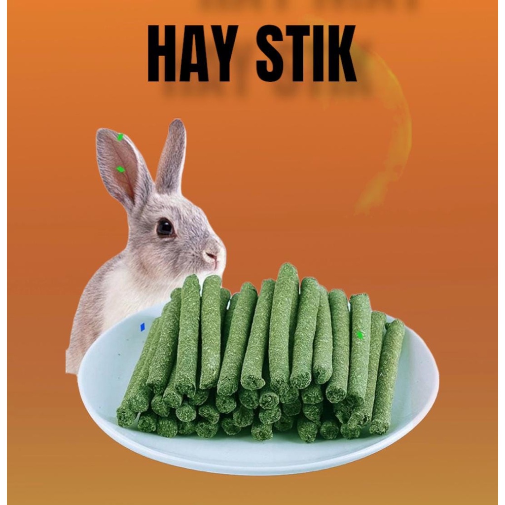 Timothy Hay STICK - STICK Hay Rabbit Food Rabbit Snack Timothy Hay ...