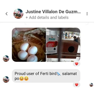 PIKOY FERTI BIRD Liquid Fertility Vitamin Drops with Enriched Vit E for ...