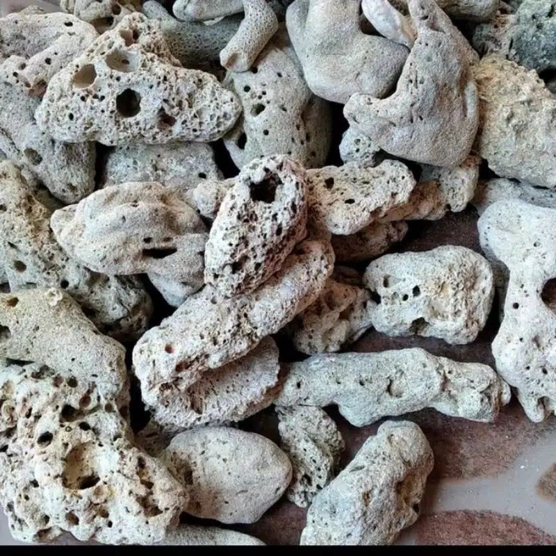 Ginger coral pond filter media aquarium filter media | Shopee Philippines