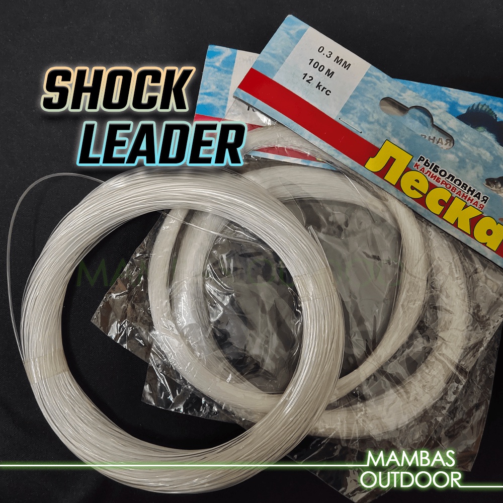 Shock Leader Nylon Fishing Line 100m Transparent Tali Tangsi Pancing ...