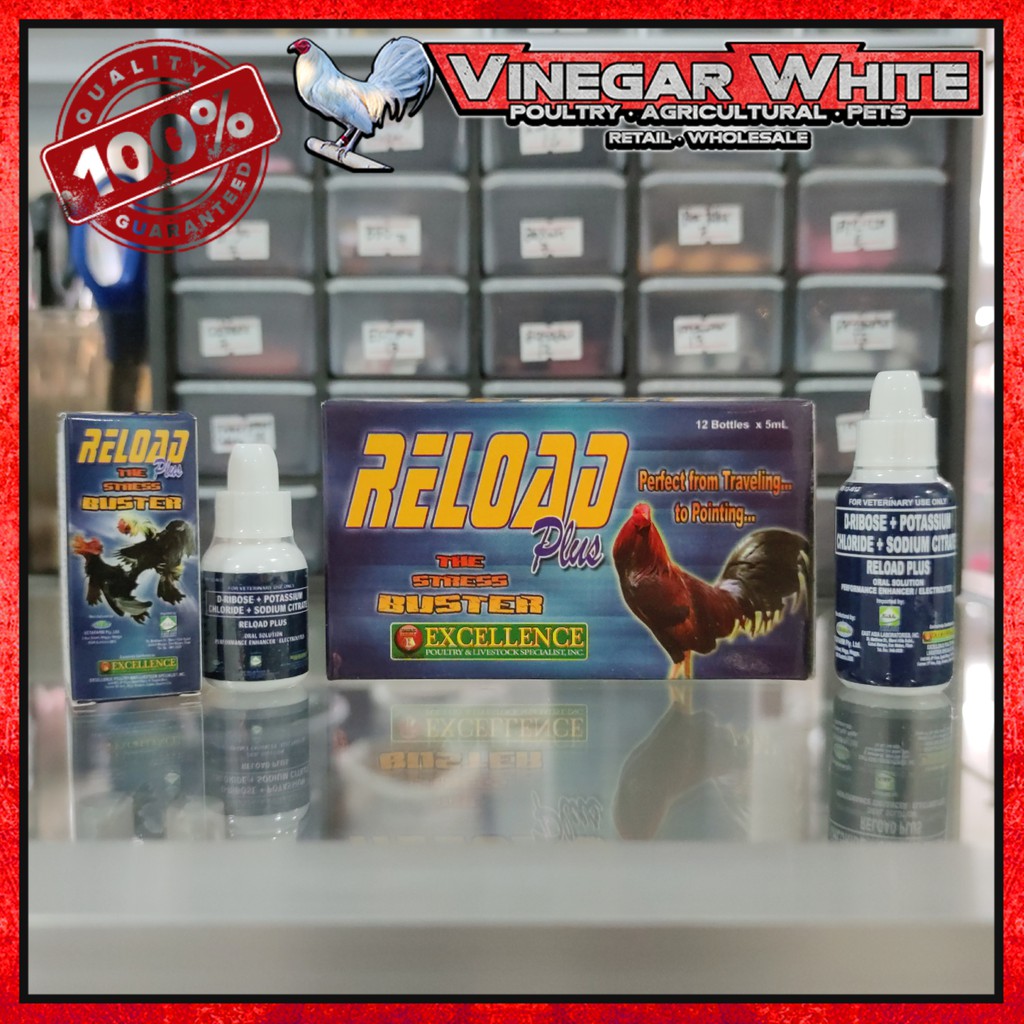Reload Plus Oral Drops for Gamefowl/Sabong (5mL/15mL) | Shopee Philippines
