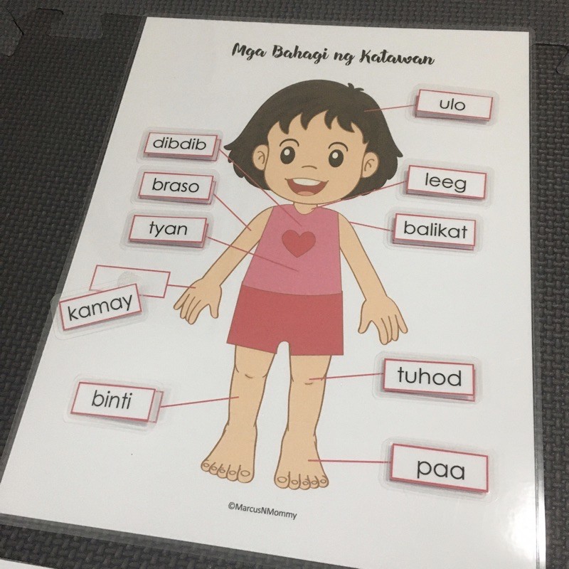 Parts of the Body (In Filipino) Activity Worksheet for Kids | Shopee ...